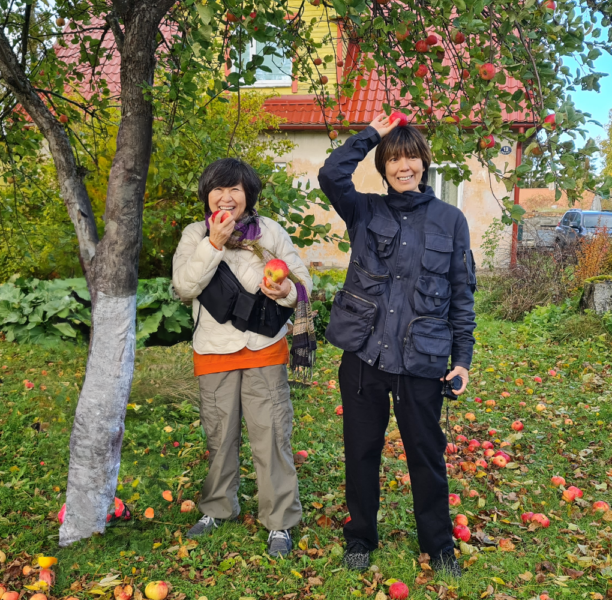 Japanese artists Reico Motohara and Kabo pop-up meet-and-eat - NART